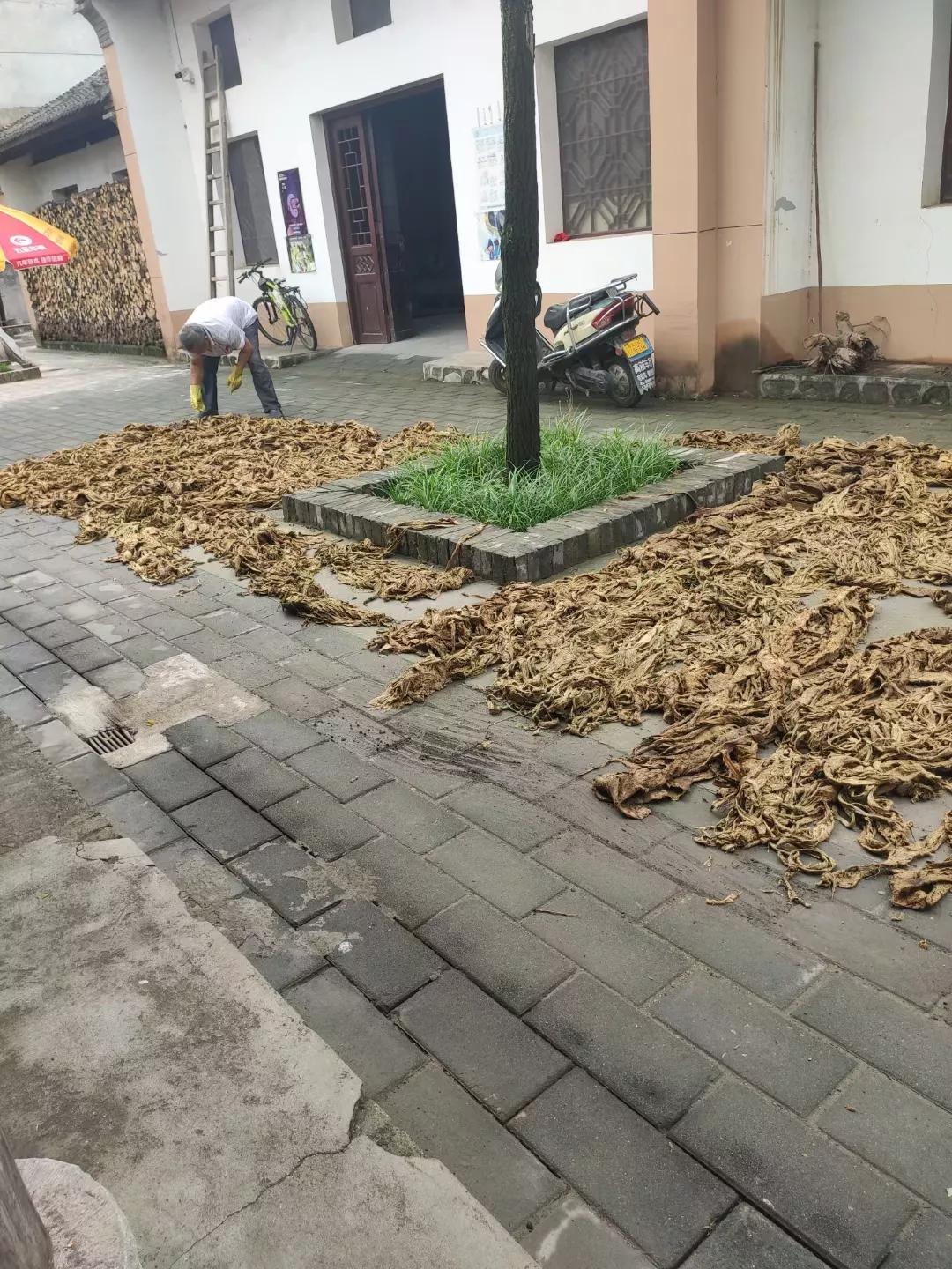 The work experience of Liu Xiaodong, the curator of Caihou Paper Museum ...