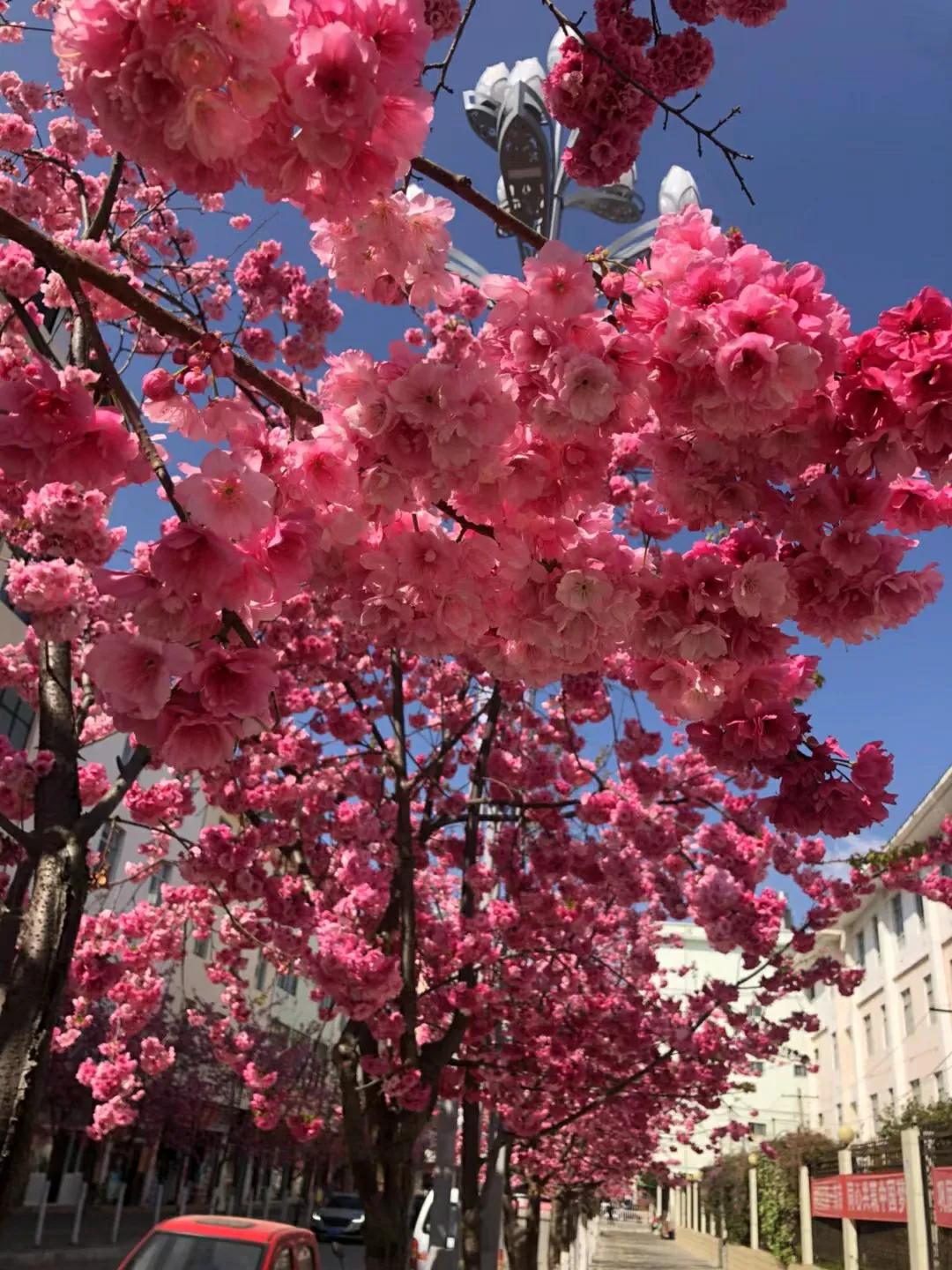 "You are a sister, you must understand things!" Eccentrically parents ...