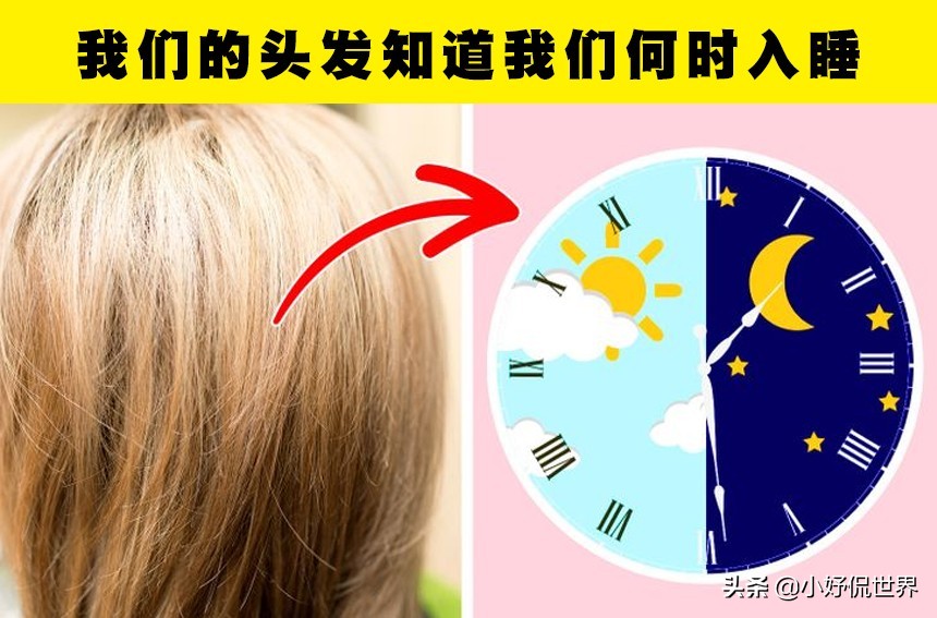 Do you know what the "Pinocchio effect" is?9 interesting facts about ...