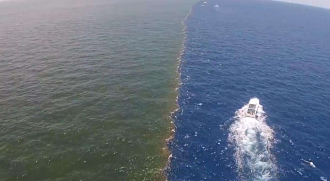 The oceans are all connected, why is there a clear dividing line ...