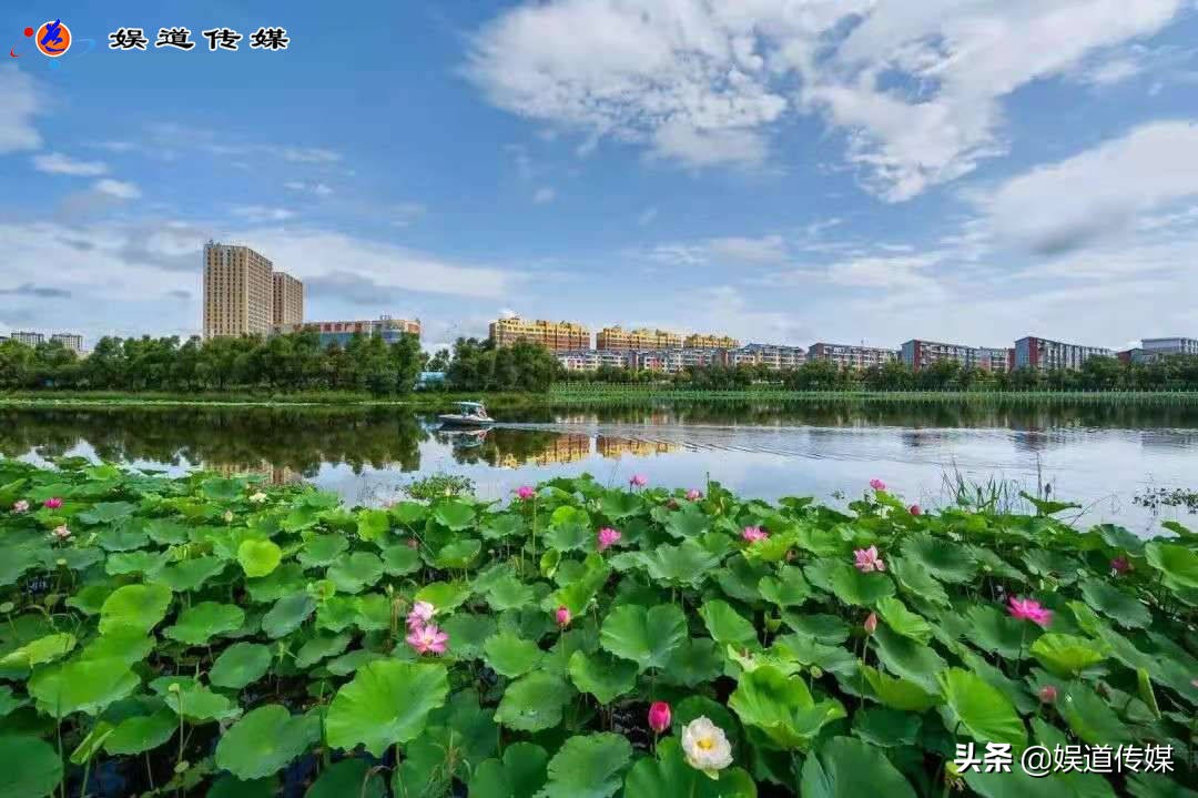 Wang Peng: Ten Mile Lotus Pond Waiting for Kings to Come - iNEWS