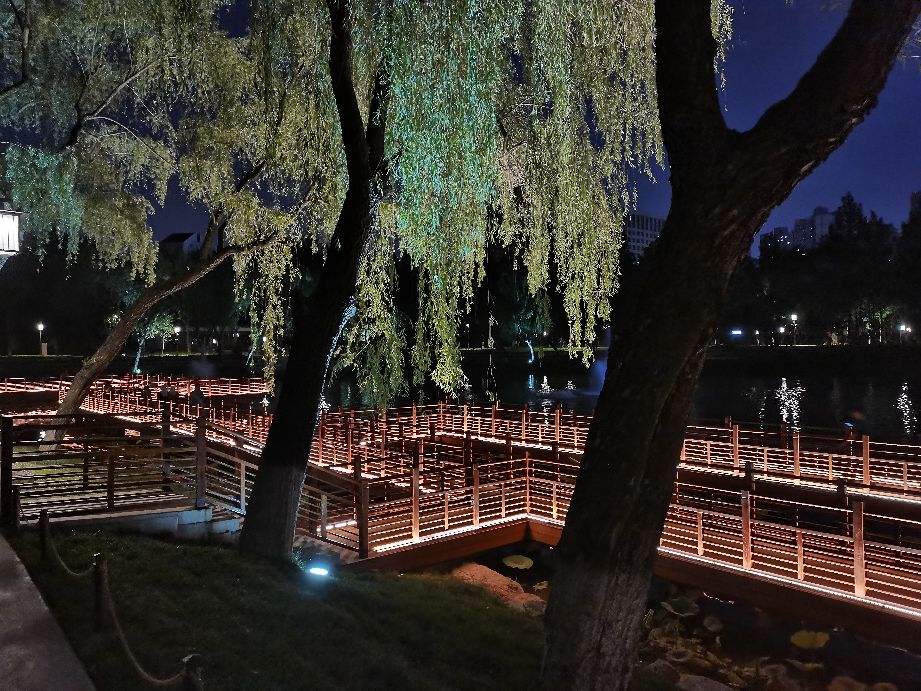 Night tour in Xingqing Park - iNEWS