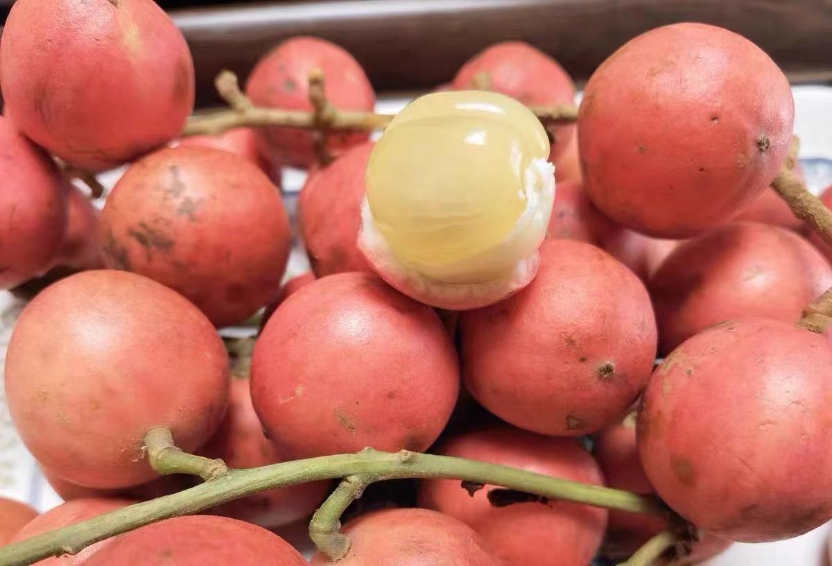The gift of nature-Yunnan Hekou Darling fruit - iNEWS