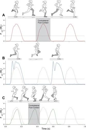 Su Bingtian makes history!How fast can humans run?What is the average ...