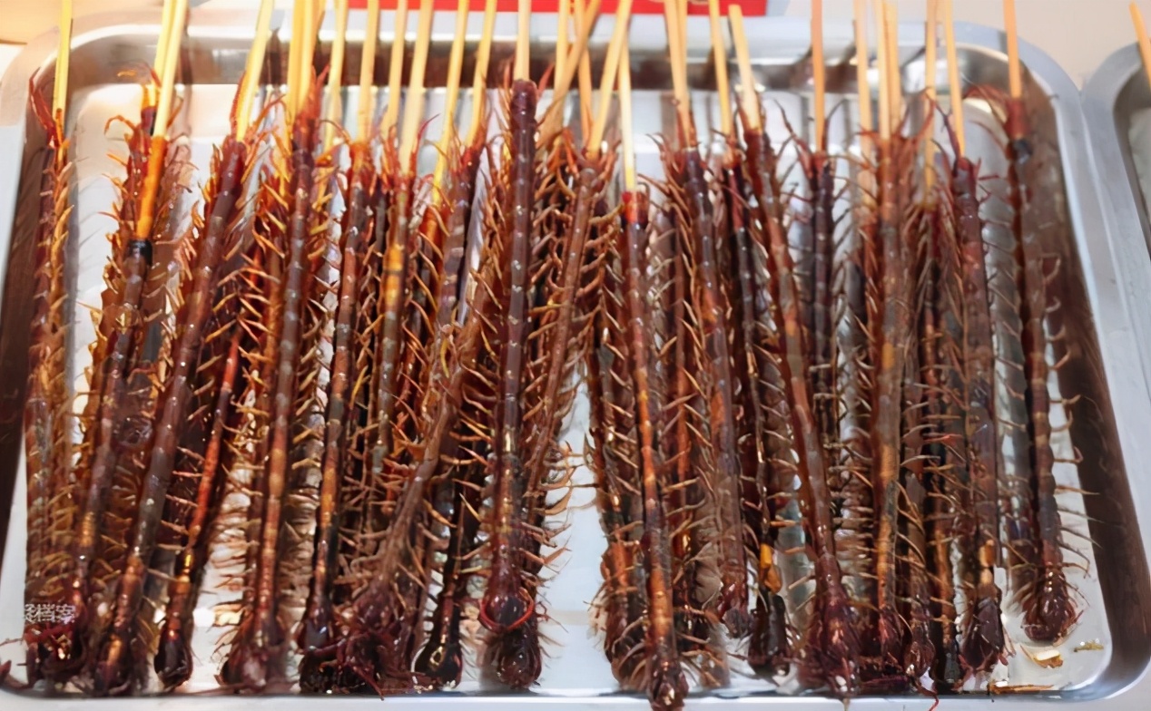 Have you ever seen a centipede that eats birds? - iNEWS