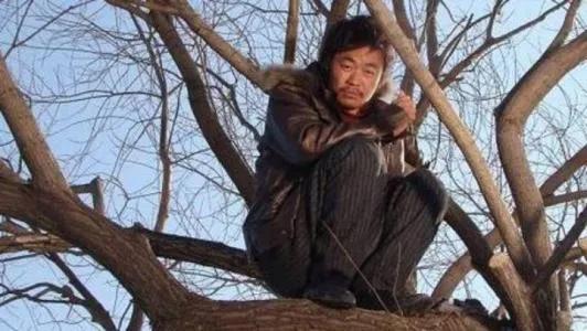 "Hello! Mr. Tree" is the tree crazy or the society crazy? - iNEWS