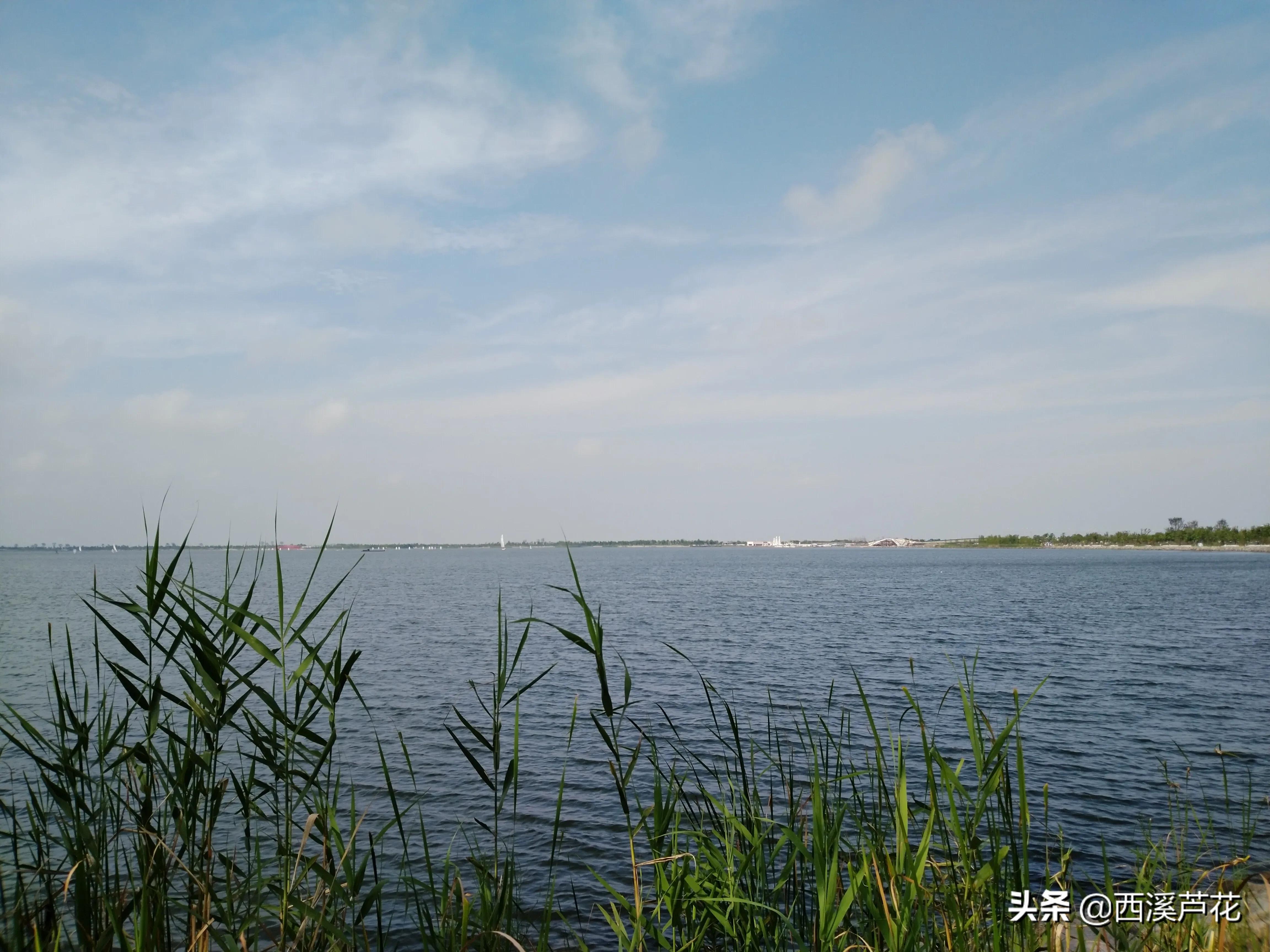 The most beautiful place in Shanghai, a new choice for leisure-Pudong ...