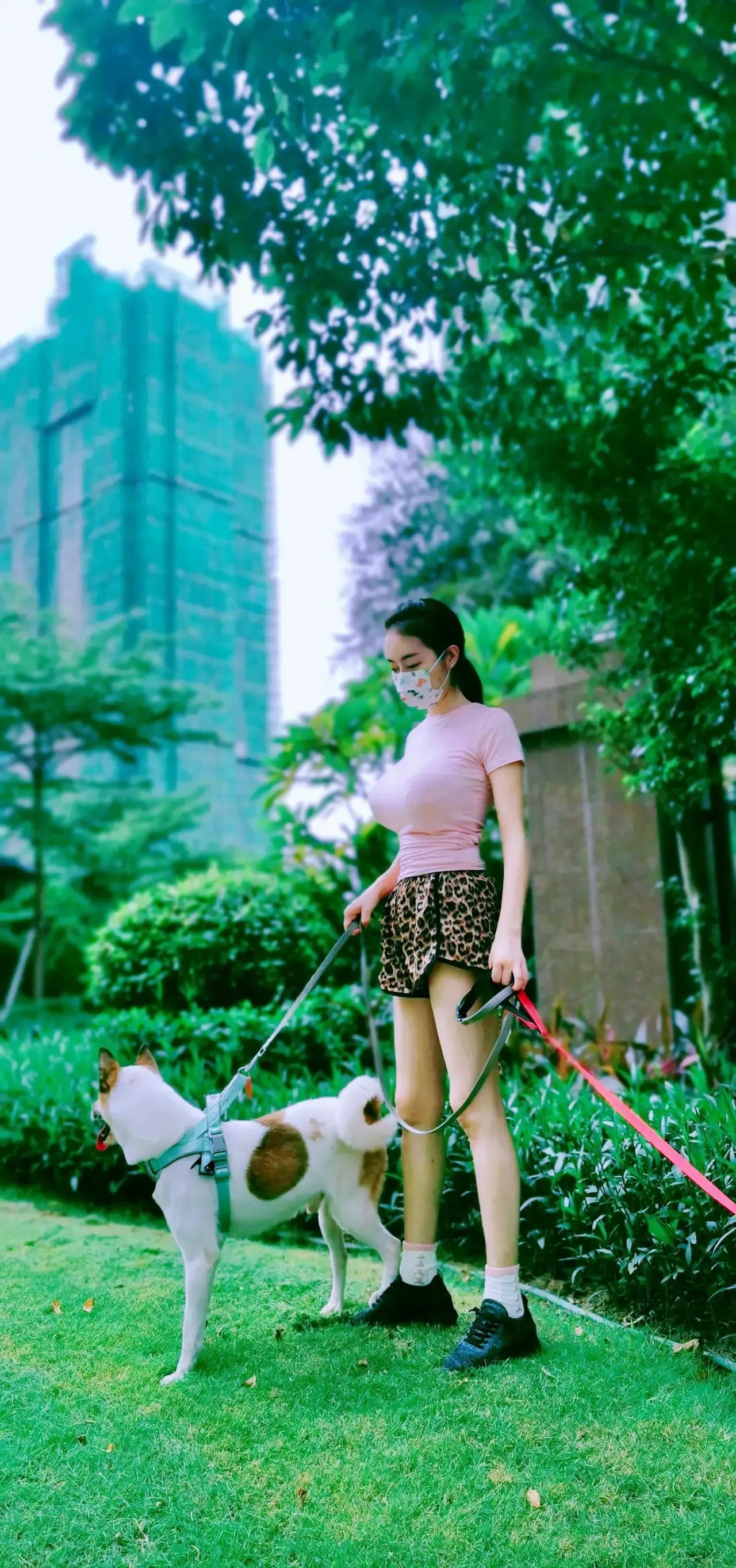 "Looking for Beauty": He is a twin star with Wang Li Danni, Pan ...