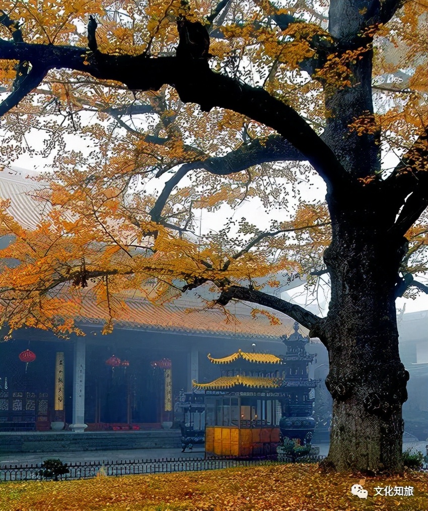 The top "rich temple" in Chinese history——Xuedou Temple of Five ...