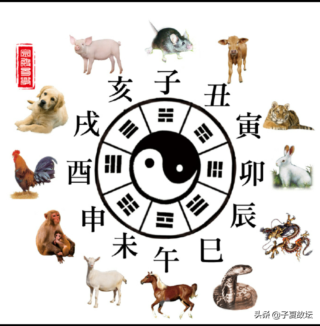 When does the zodiac change? Is it the Spring Festival or Beginning of ...