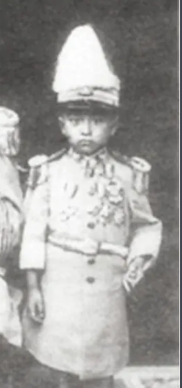 Zhang Zuolin's eight sons did what, Four children became the Liberation ...