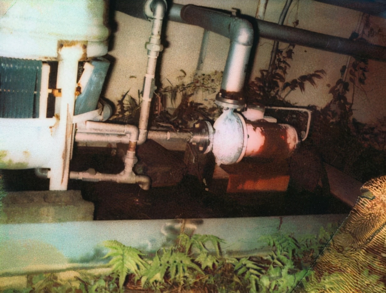 Japanese man suffered nuclear radiation, his skin melted and cried ...