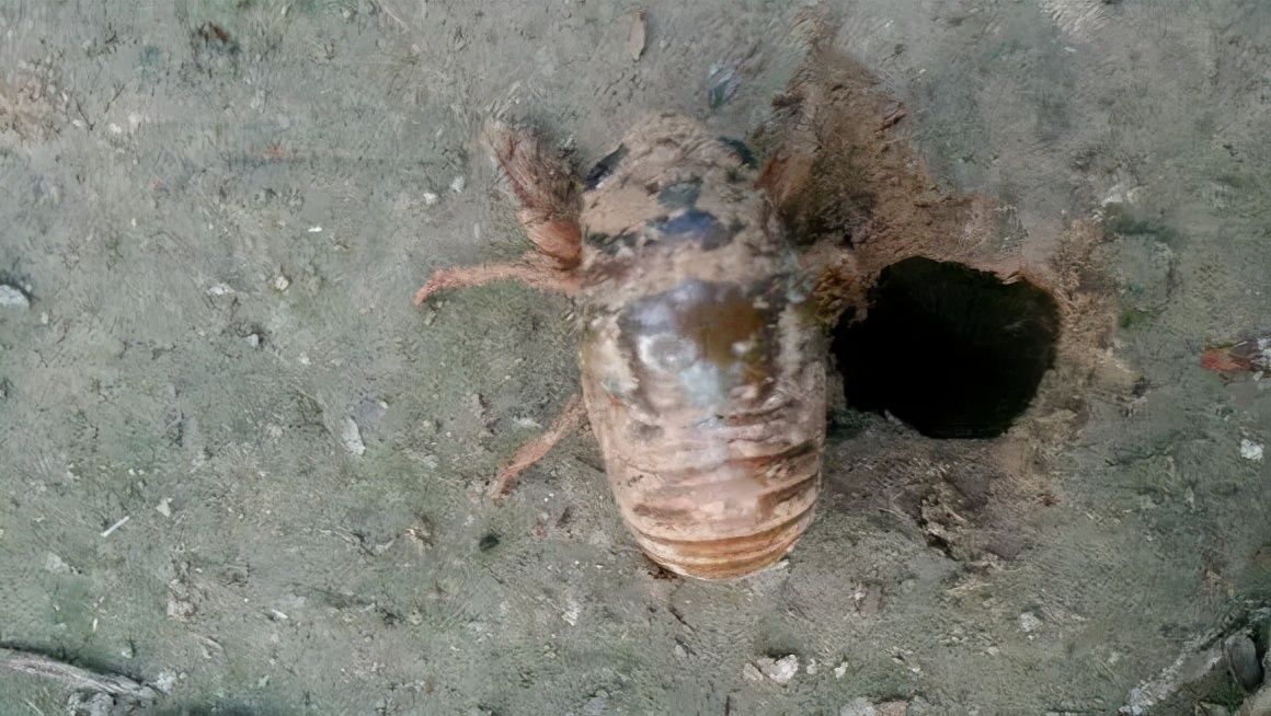 I finally know why Tang Seng is Jin Chanzi reincarnated - iNEWS