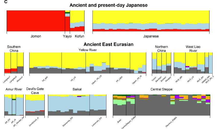 "Science": Ancient Japanese DNA shows that Japanese ancestors mainly ...