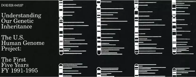 How many genes do we have? - iNEWS