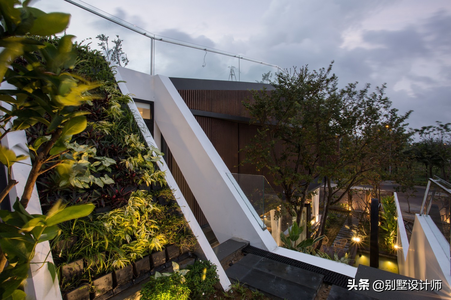 What is the experience of growing vegetables on the roof, integrating ...