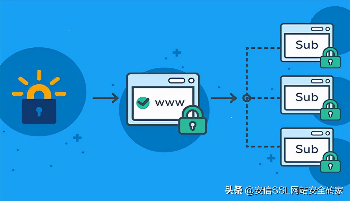 What is the difference between DV wildcard SSL certificate and OV ...