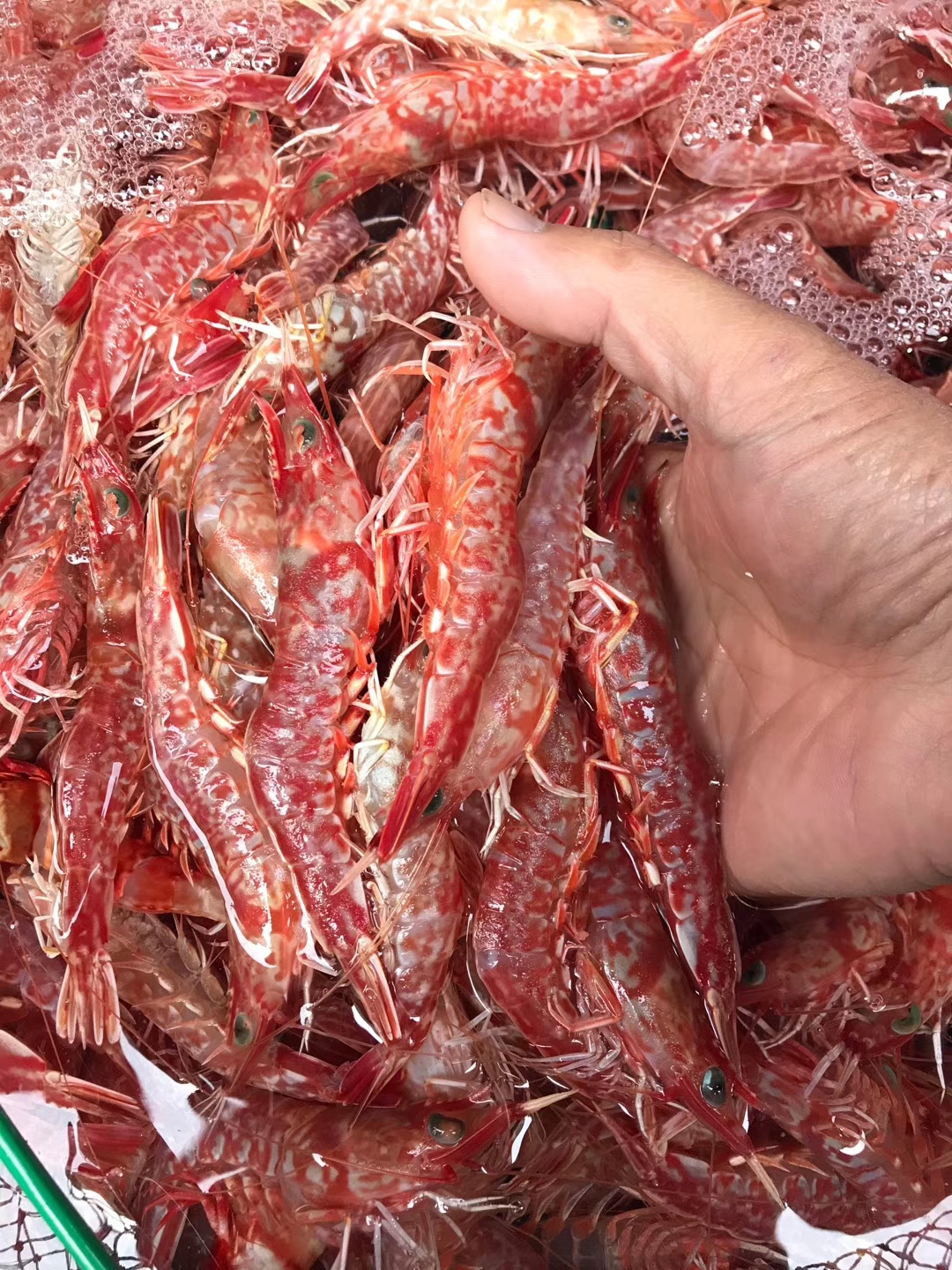 Mizong Seafood Nine-section Shrimp - iNEWS