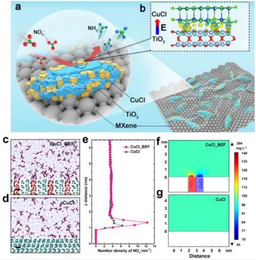 Angew: Built-in electric field to do meritorious service, sewage ...