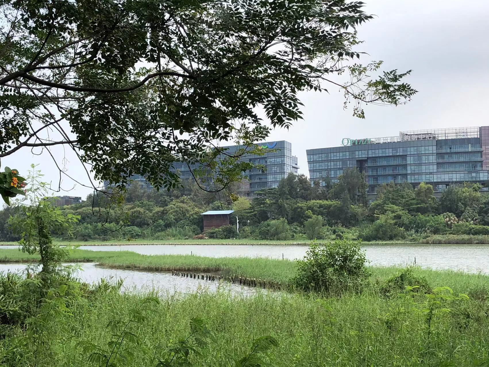 Prosperous urban hinterland + low-key national wetland park, the first ...