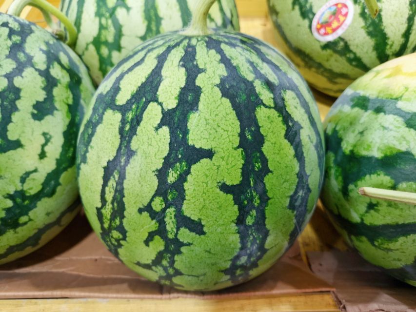 Picking watermelons and shooting them makes people laugh, melon farmers ...