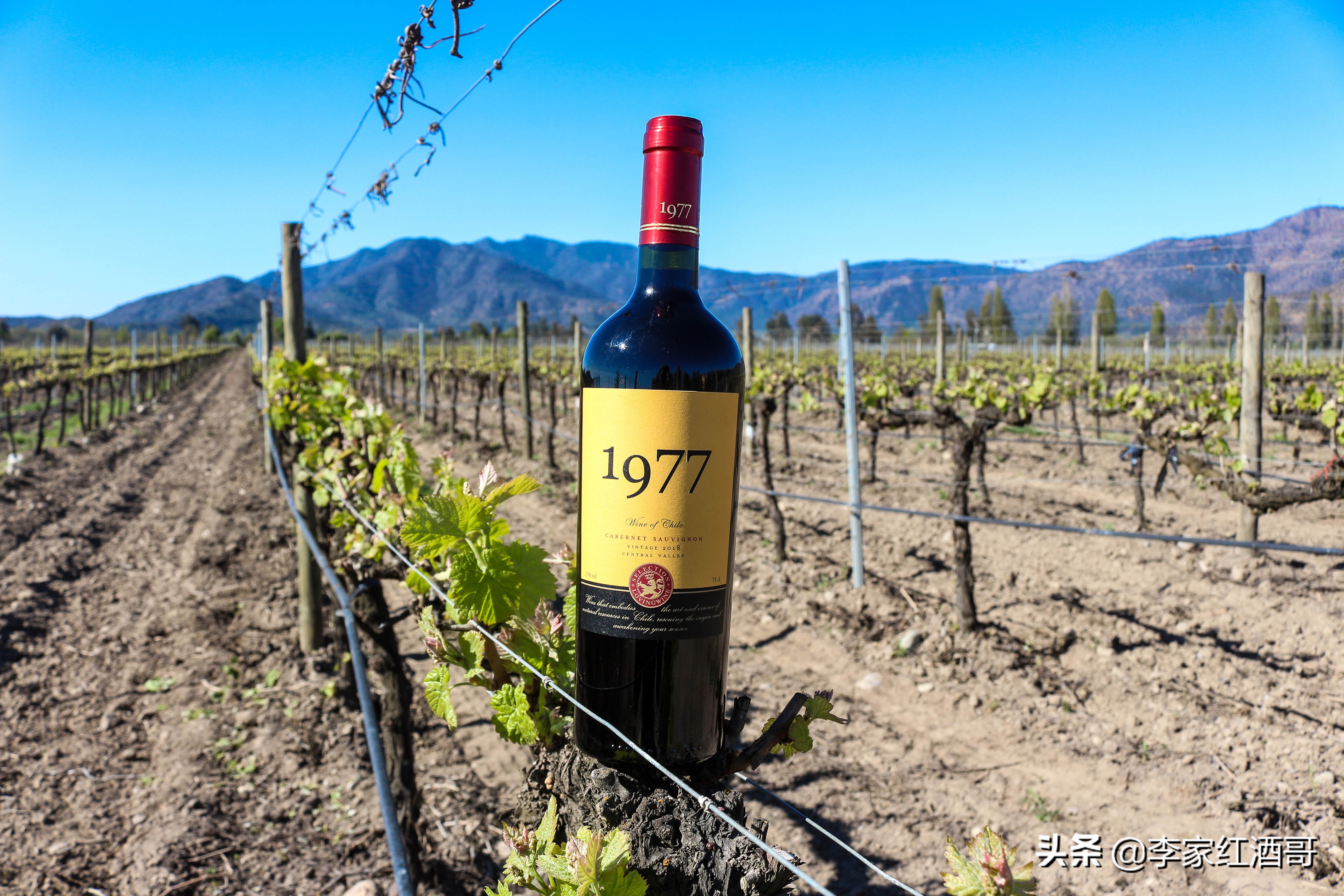 What is wine aftertaste? - iNEWS