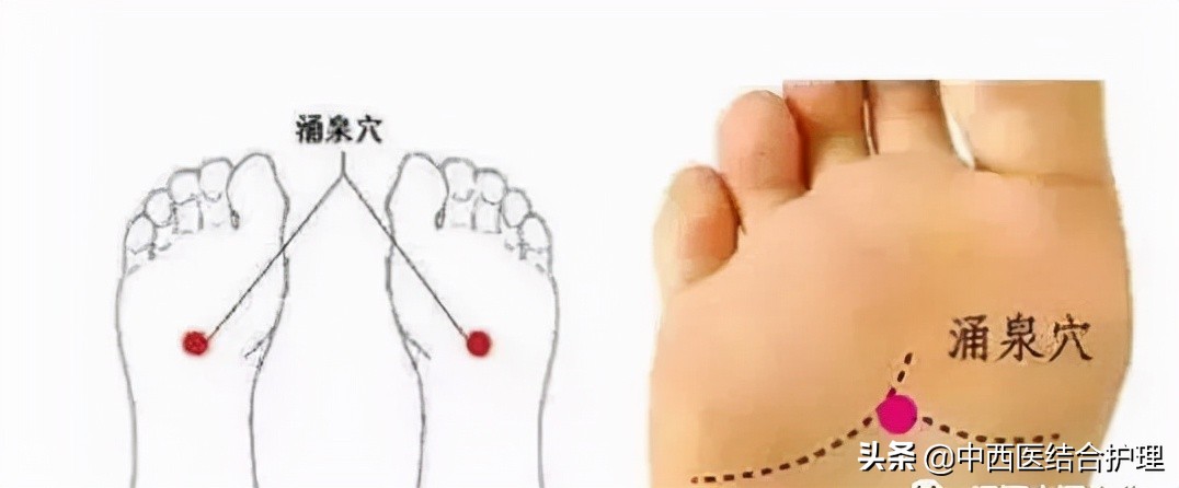 "Acupoint Science Popularization" Baihui is "Heaven", Yongquan is ...