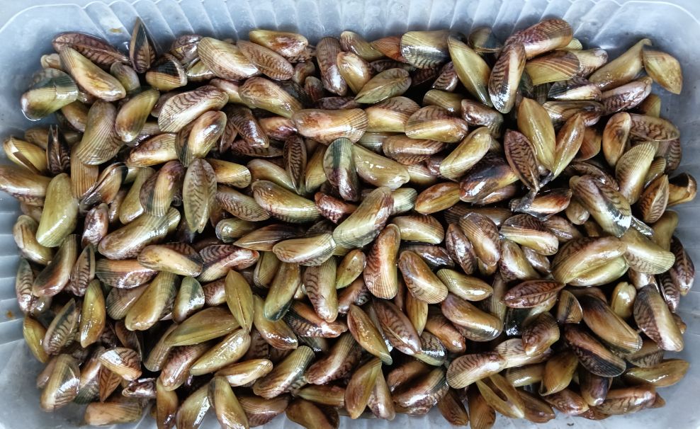 Fried thin shells, a seafood delicacy with Chaoshan characteristics ...