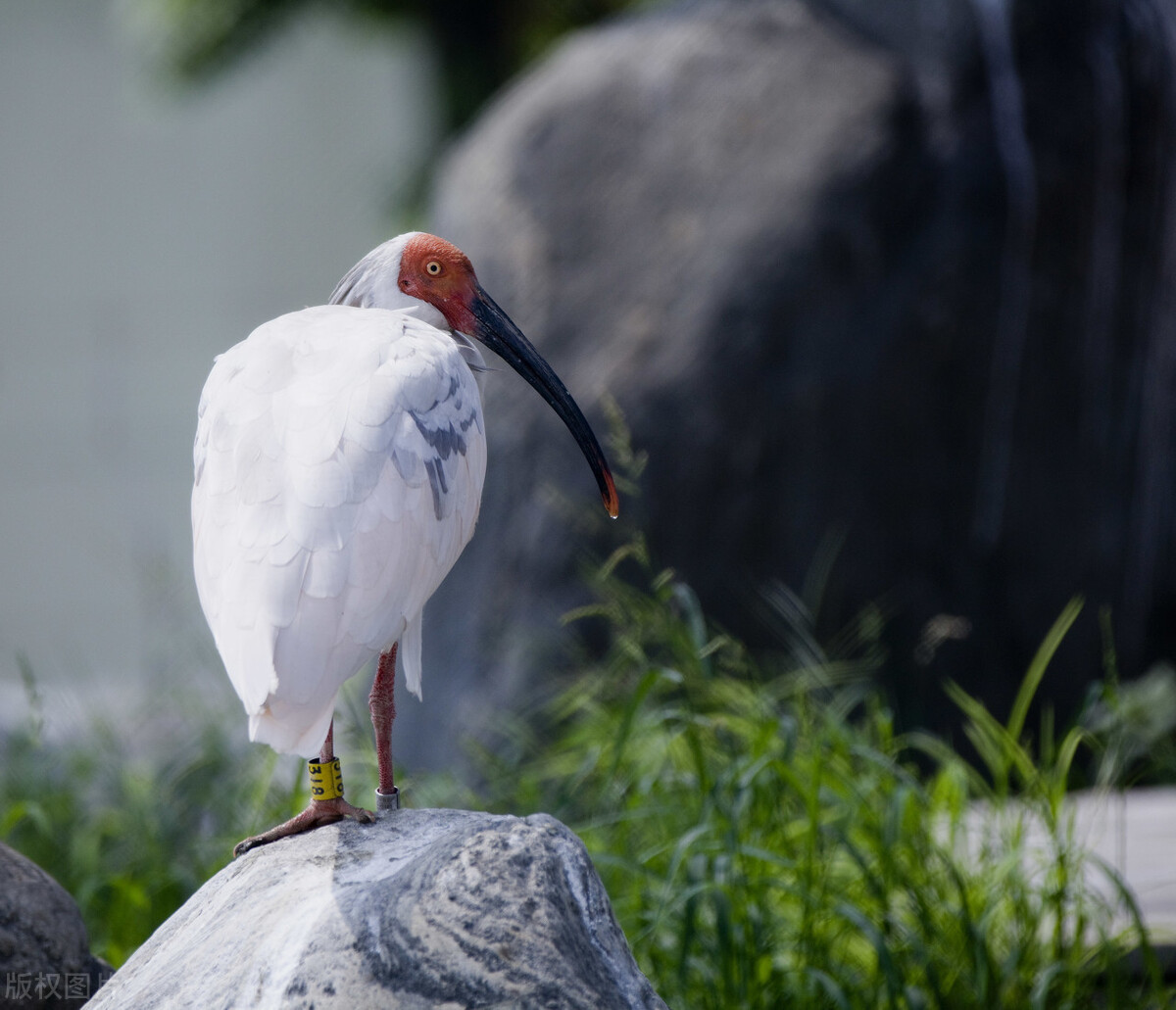 More than 120 countries in the world have confirmed their national ...