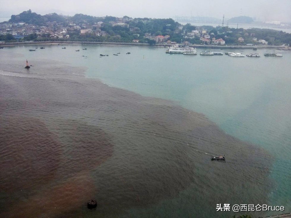 Japan's severe red tide crisis!90% of sea urchins died in Hokkaido ...