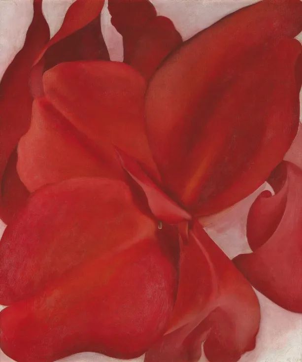 Georgia O'Keeffe, a flower that grows wantonly - iNEWS