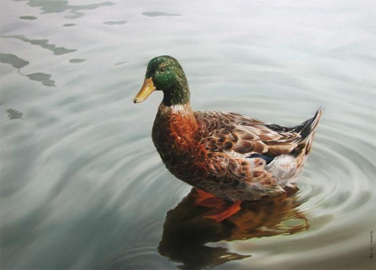 Stunning watercolors and oil paintings from Misulbu Gallery, South ...