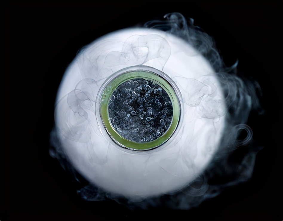 Why should cells be frozen in liquid nitrogen at -196 degrees? - iNEWS