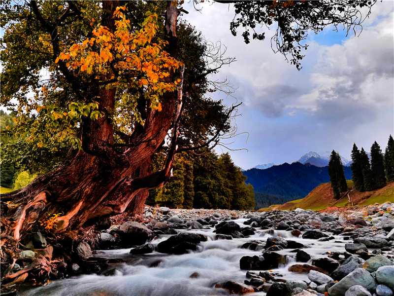 The Tianshan Mountains in Xinjiang enters autumn, colorful - iNEWS