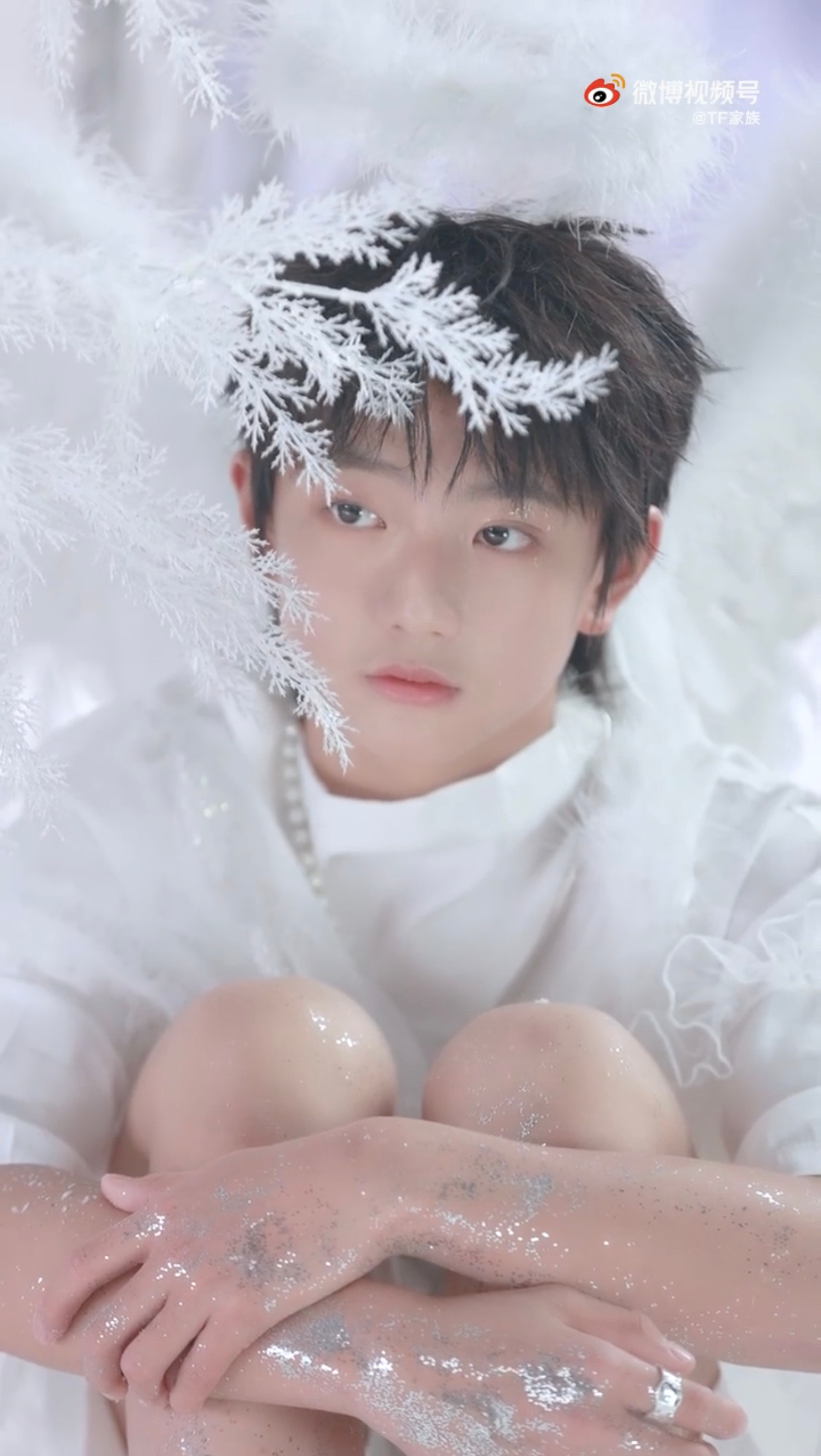 11.6 Picture: Di Lieba, Deng Lun, Liu Yifei, Yang Zi, Zhou Shen, Tong ...