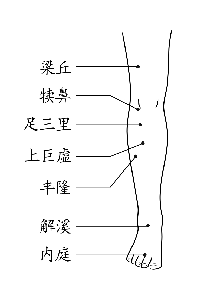 The third meridian of health maintenance: Foot Yangming Stomach ...