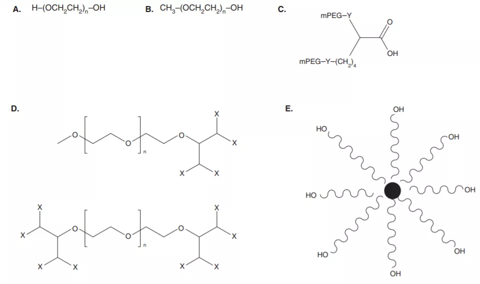 Pharmacokinetics and biological analysis of PEG-modified drugs - iNEWS