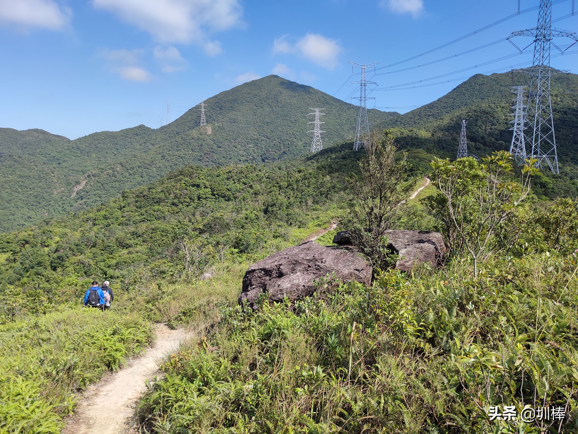 The Shenzhen hiking trail burns to the sky, and the reeds on the top of ...