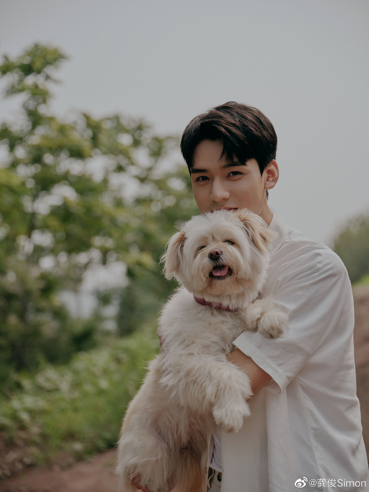 Yang Mi and Gong Jun, the top-level "Siming" - iNEWS