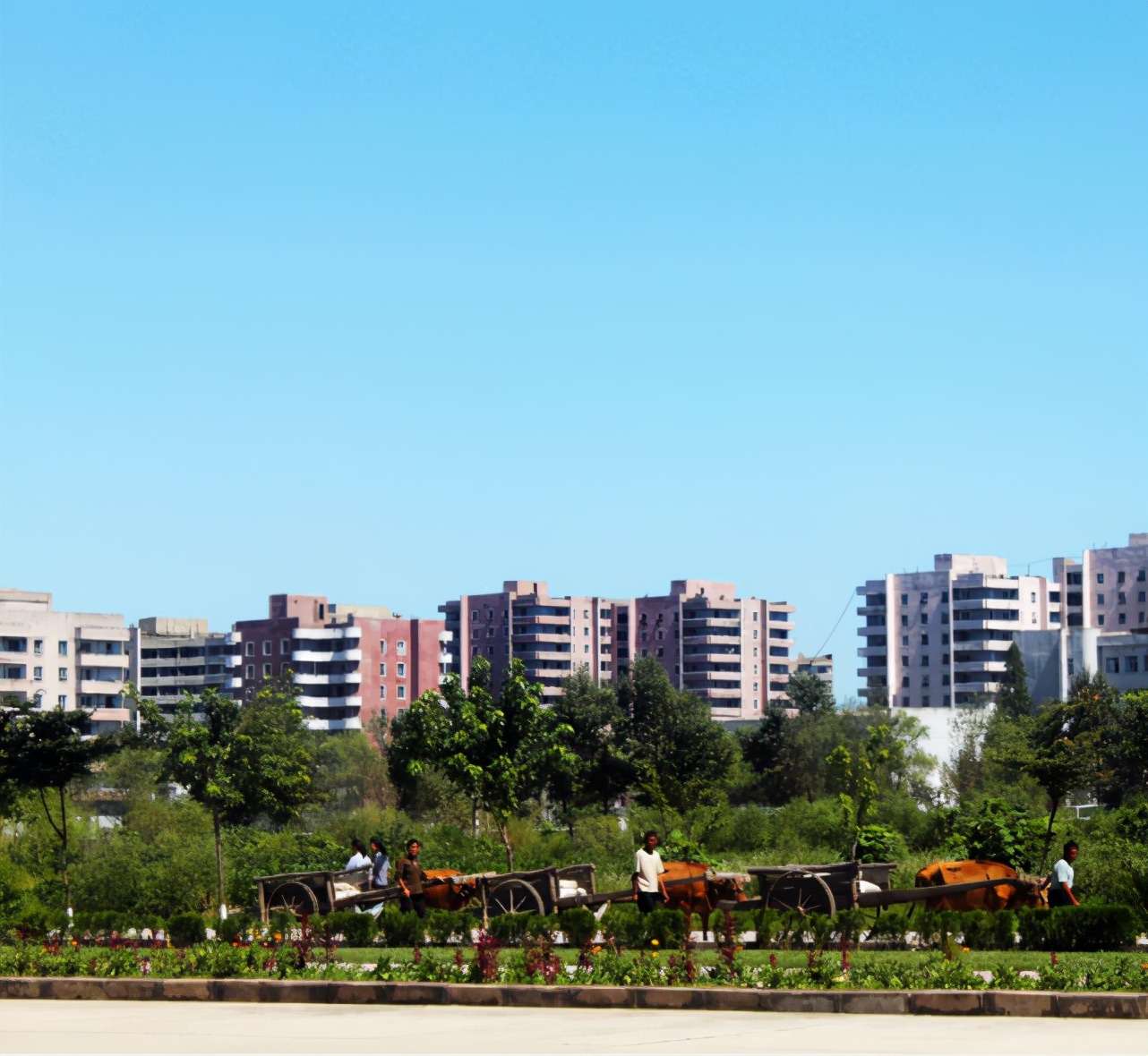 Walk into Sinuiju, North Korea, and experience the development status ...