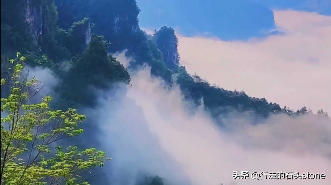 The Poetry Dictionary: Lao Ji Fu Ting-What kind of life should I pursue ...