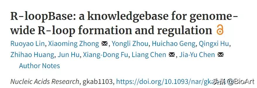 Chen Jiayu/Chen Liang collaborated to establish an expert database of R-loop genome-wide ...