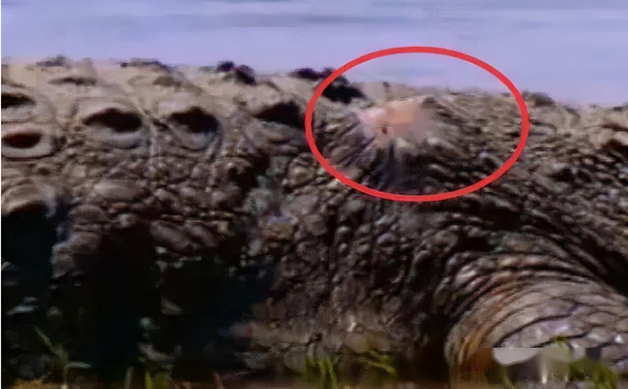 Nearly 300 missing people are related to it, the most murdered ...