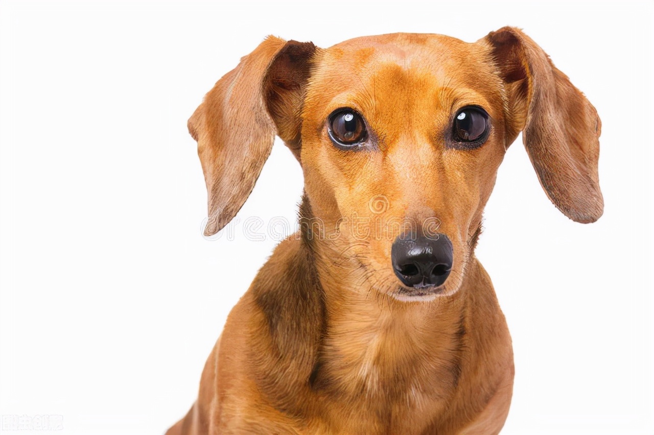 "There is no party in Caodong" drummer Cai Yifan regrets his death!Only 26 years old, suspected ...