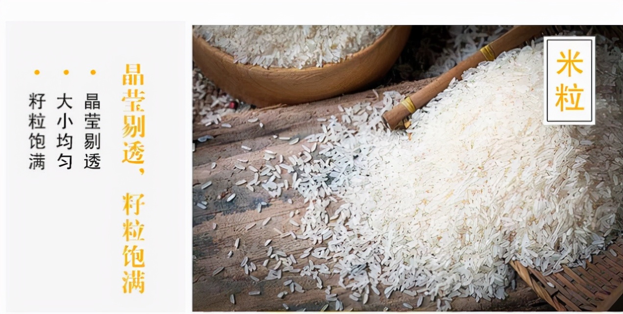 The rice on the tip of the tongue—Wuchang Dao Huaxiang Rice - iNEWS