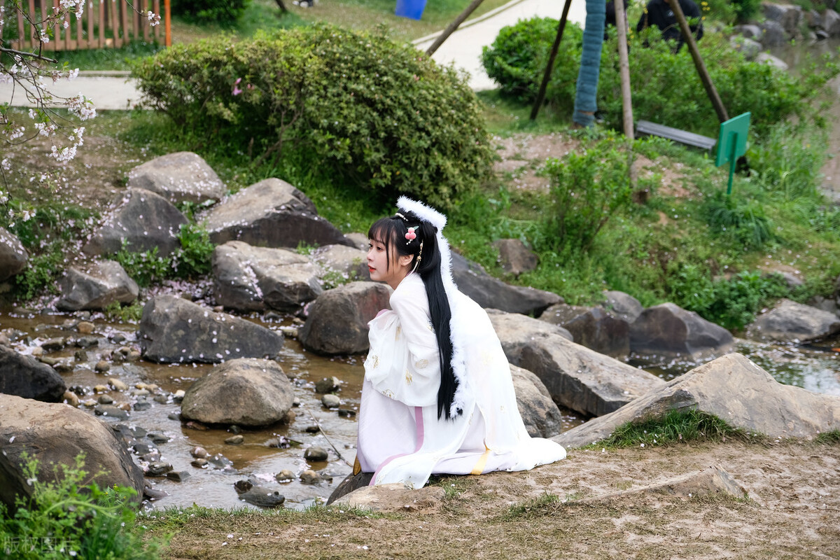 The Collection of Qin Yunzi's Feng Jin - iNEWS