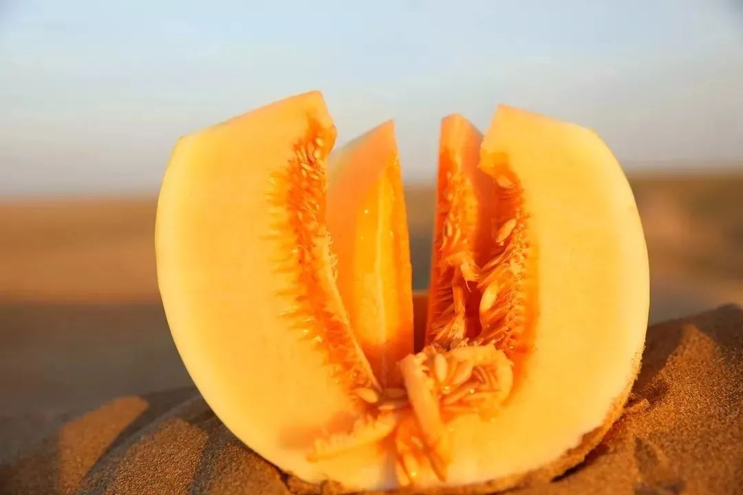 The must-eat desert honeydew melon every year. The skin is golden and ...