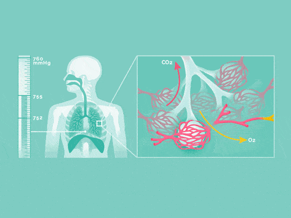 Observe your breathing and exercise properly - iNEWS