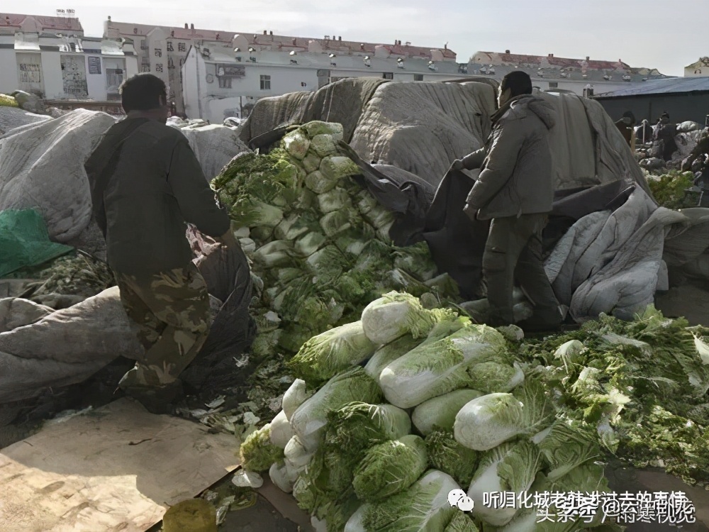 Story: Lao Han tells a story: Soon in the late autumn - iNEWS