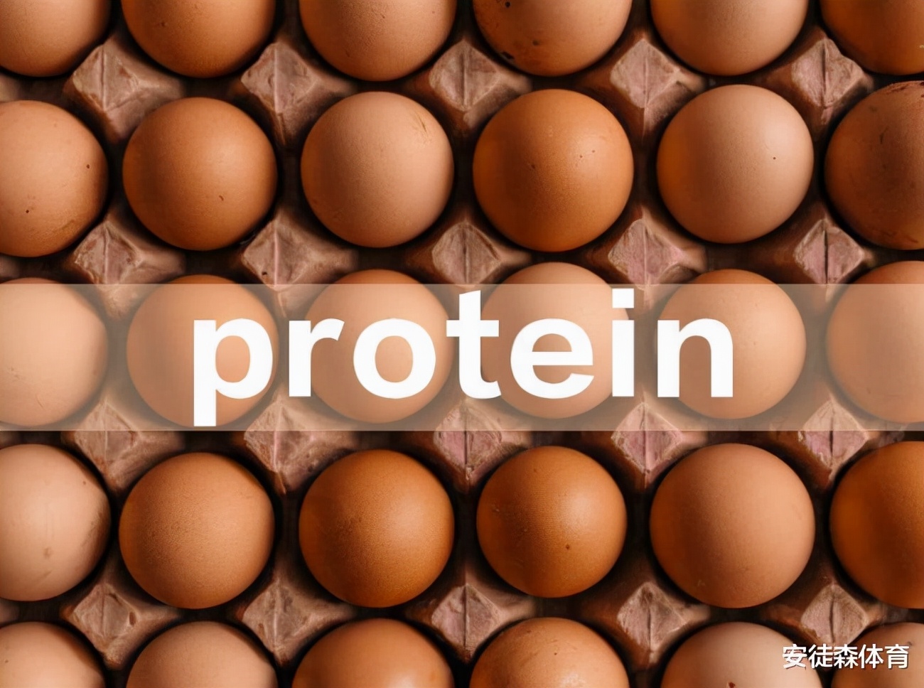 Are you lacking in protein?A watch to measure the physical signs of ...